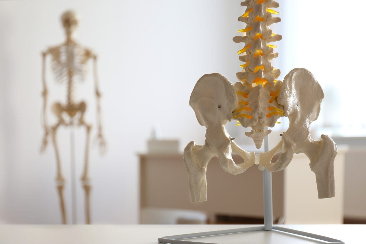 Bones That Take the Longest to Heal | Fracture Healing